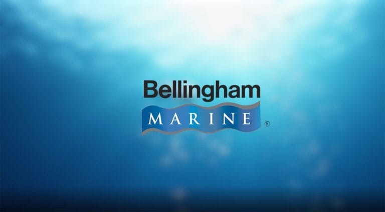 Floating Dock Systems | Bellingham Marine Global Marina Construction