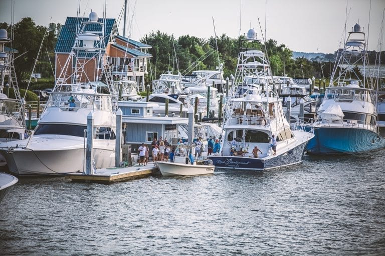 Floating Dock Systems | Bellingham Marine Global Marina Construction