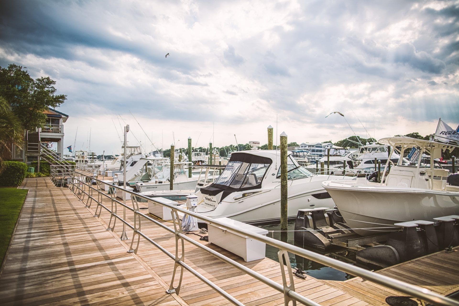 Bellingham Marine Australia - Bellingham Marine